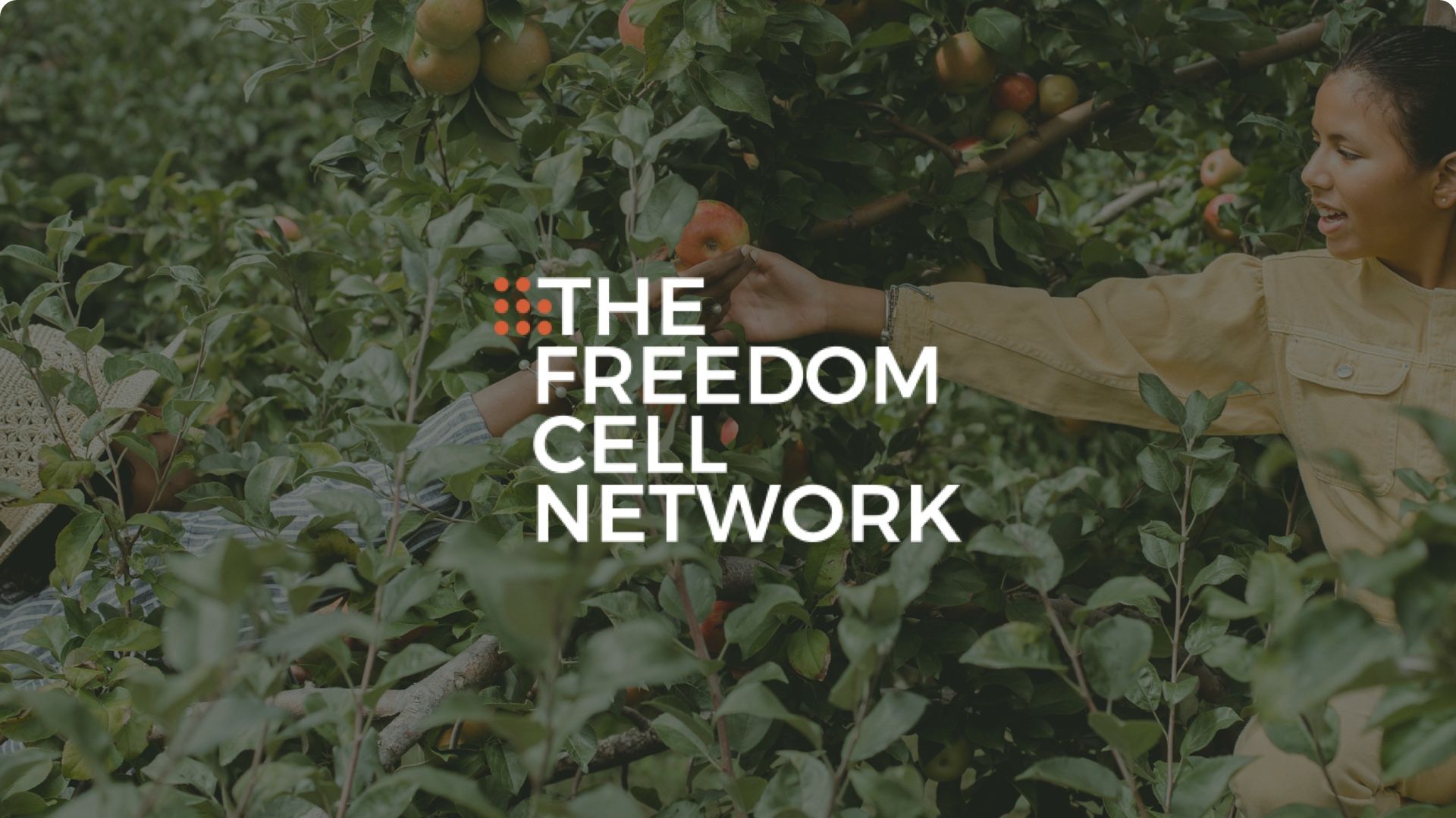 Freedom Cells Anti-Spam Federation on Telegram